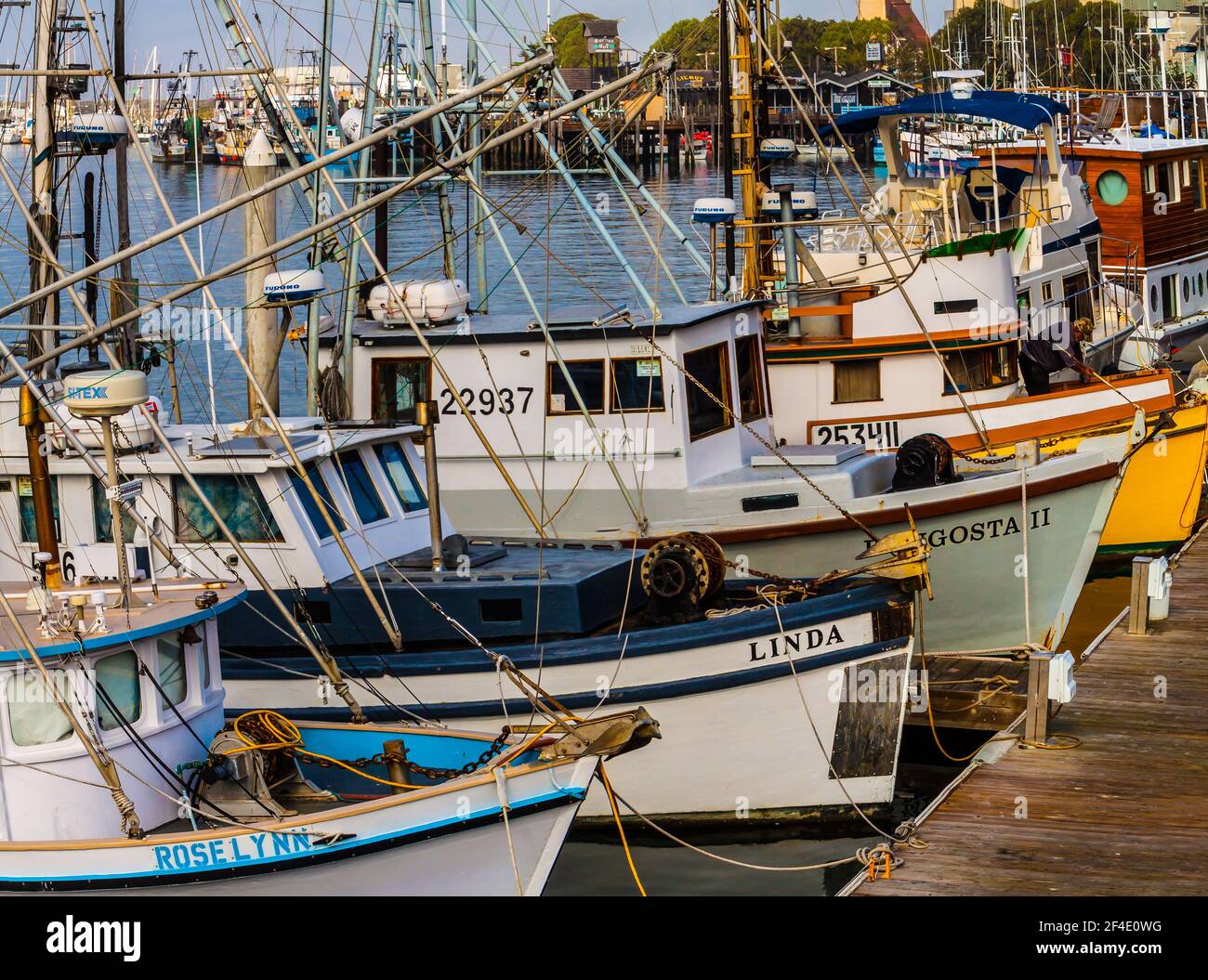 Fishing Boats Docked at Morro Bay Marina, Morro Bay, California, USA ...