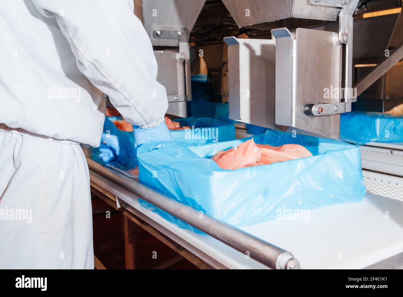 Food products meat chicken in plastic packaging on the conveyor.Chicken ...