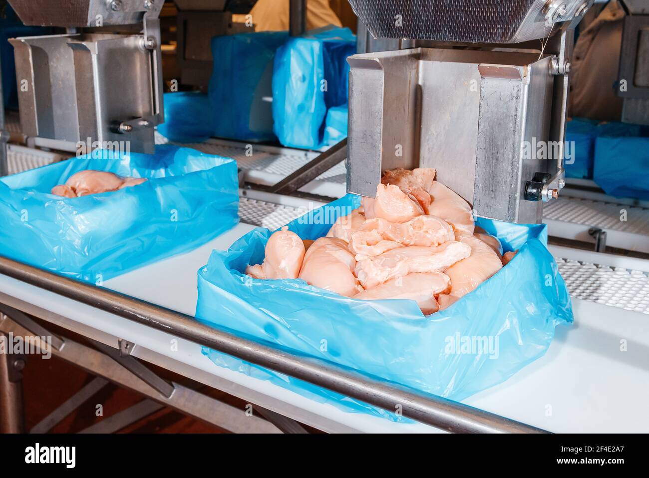 Food products meat chicken in plastic packaging on the conveyor.Chicken ...