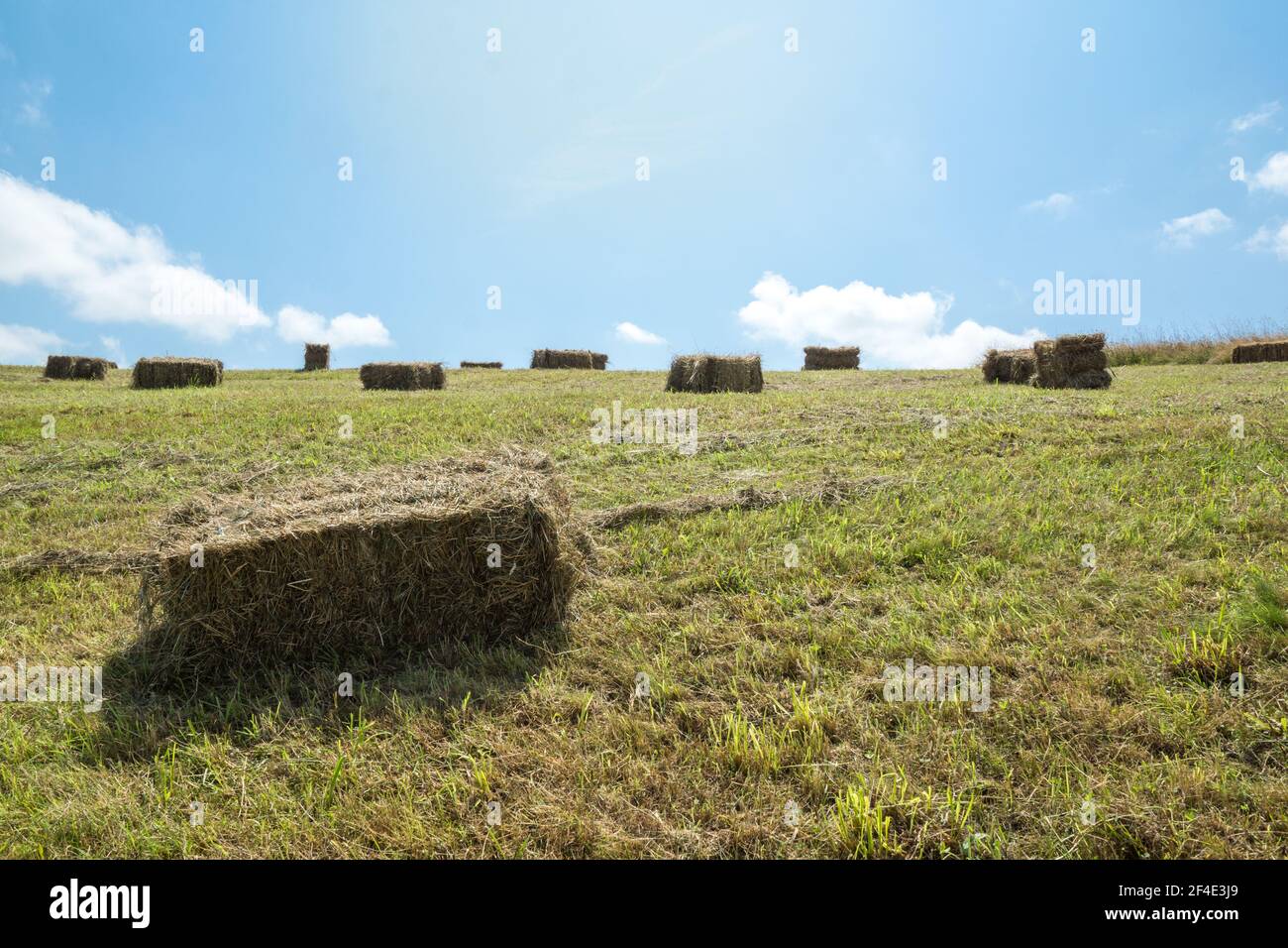 Straw packages hi-res stock photography and images - Alamy