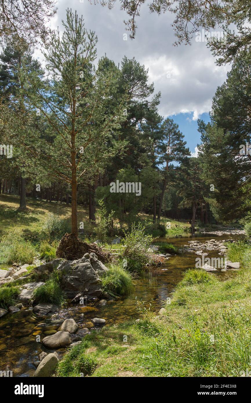 Transparent river hi-res stock photography and images - Alamy