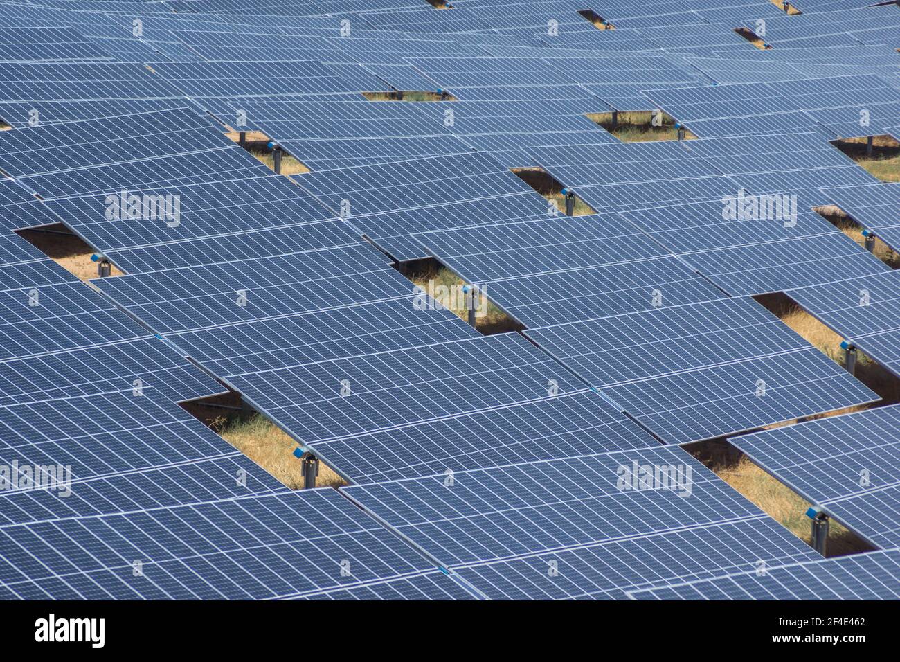 solar panels on a summer day filling almost the entire image except for ...