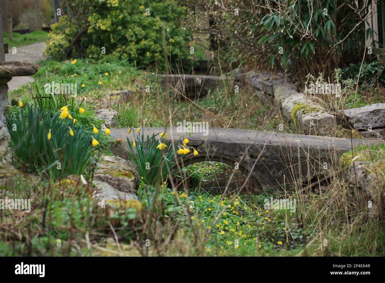 View of RSPB Wat Tyler Wildlife Garden during Spring 2021 Stock Photo ...
