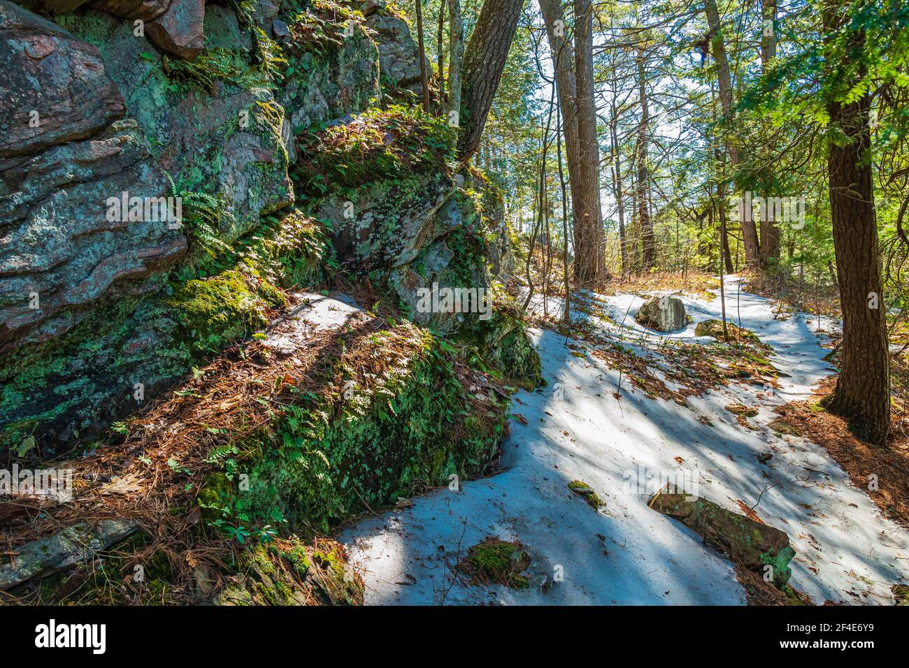 Elliot Falls Trails and Conservation Area Norland Ontario Canada in ...