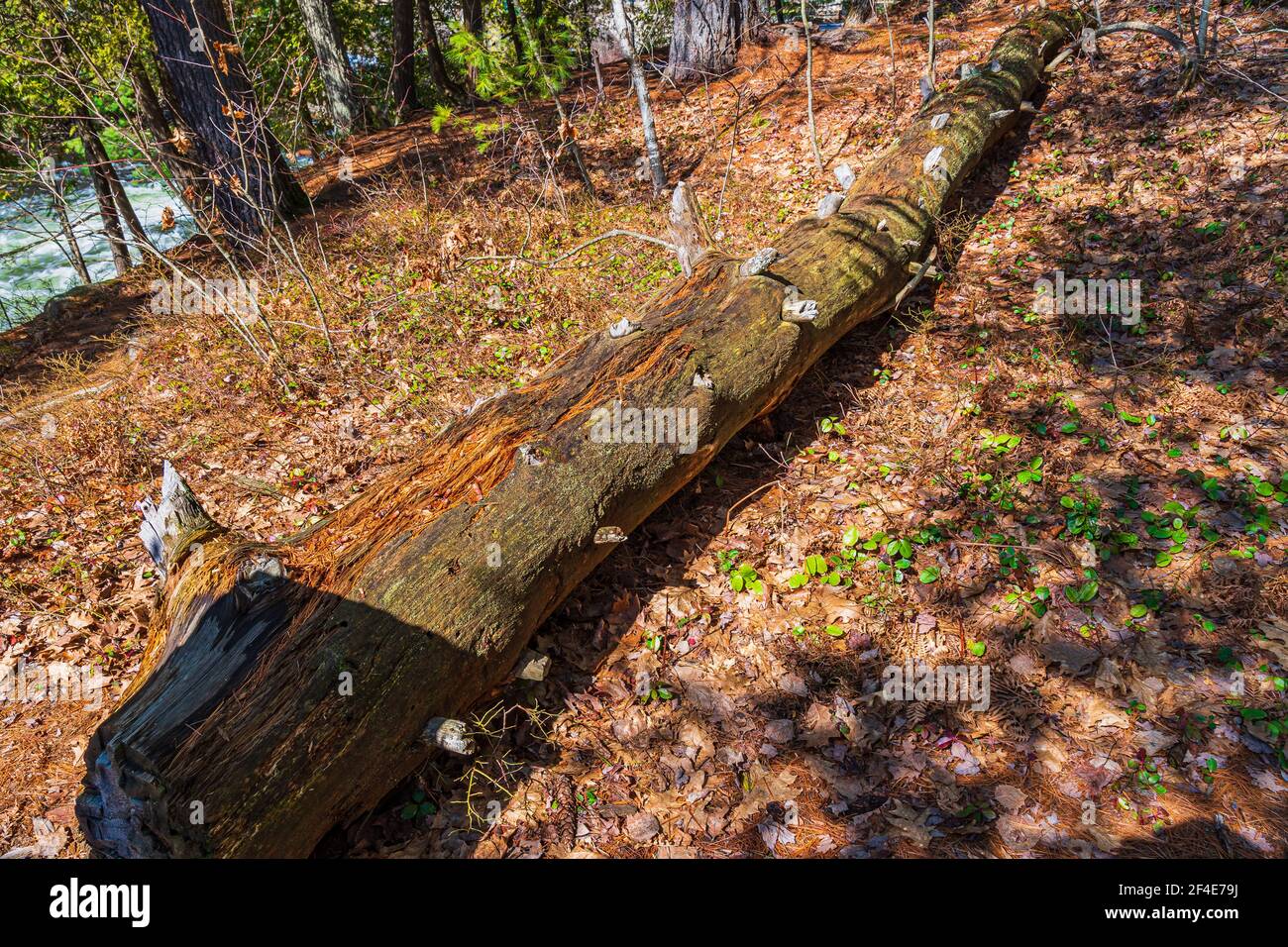 Elliot Falls Trails and Conservation Area Norland Ontario Canada in ...