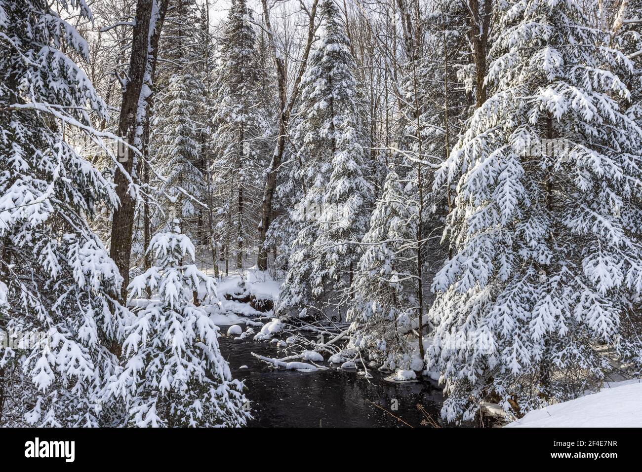 A peaceful winter scene in northern Wisconsin Stock Photo - Alamy