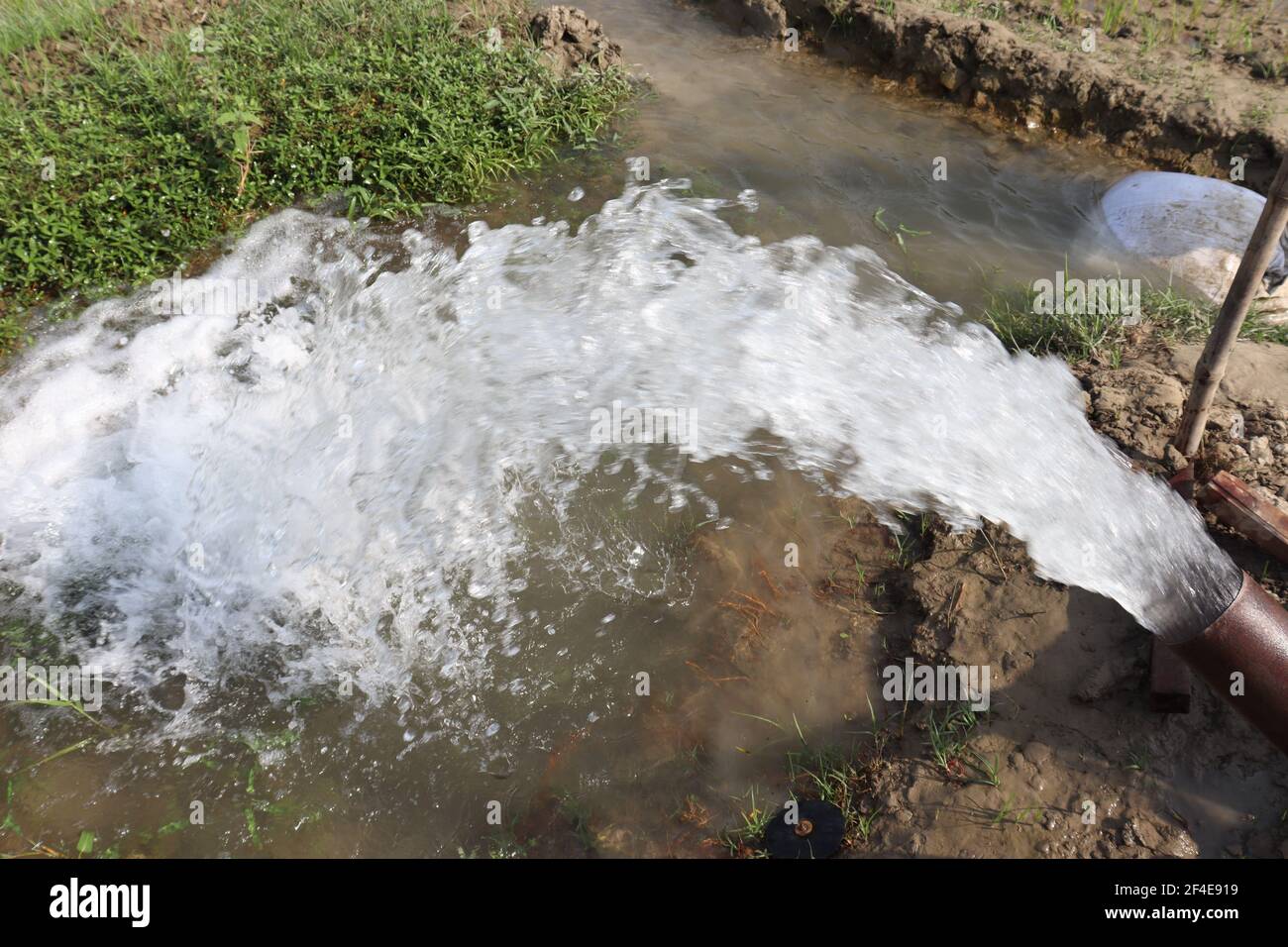 water splash of pump on paddy firm for sewage Stock Photo - Alamy