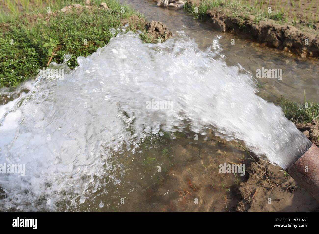 water splash of pump on paddy firm for sewage Stock Photo - Alamy