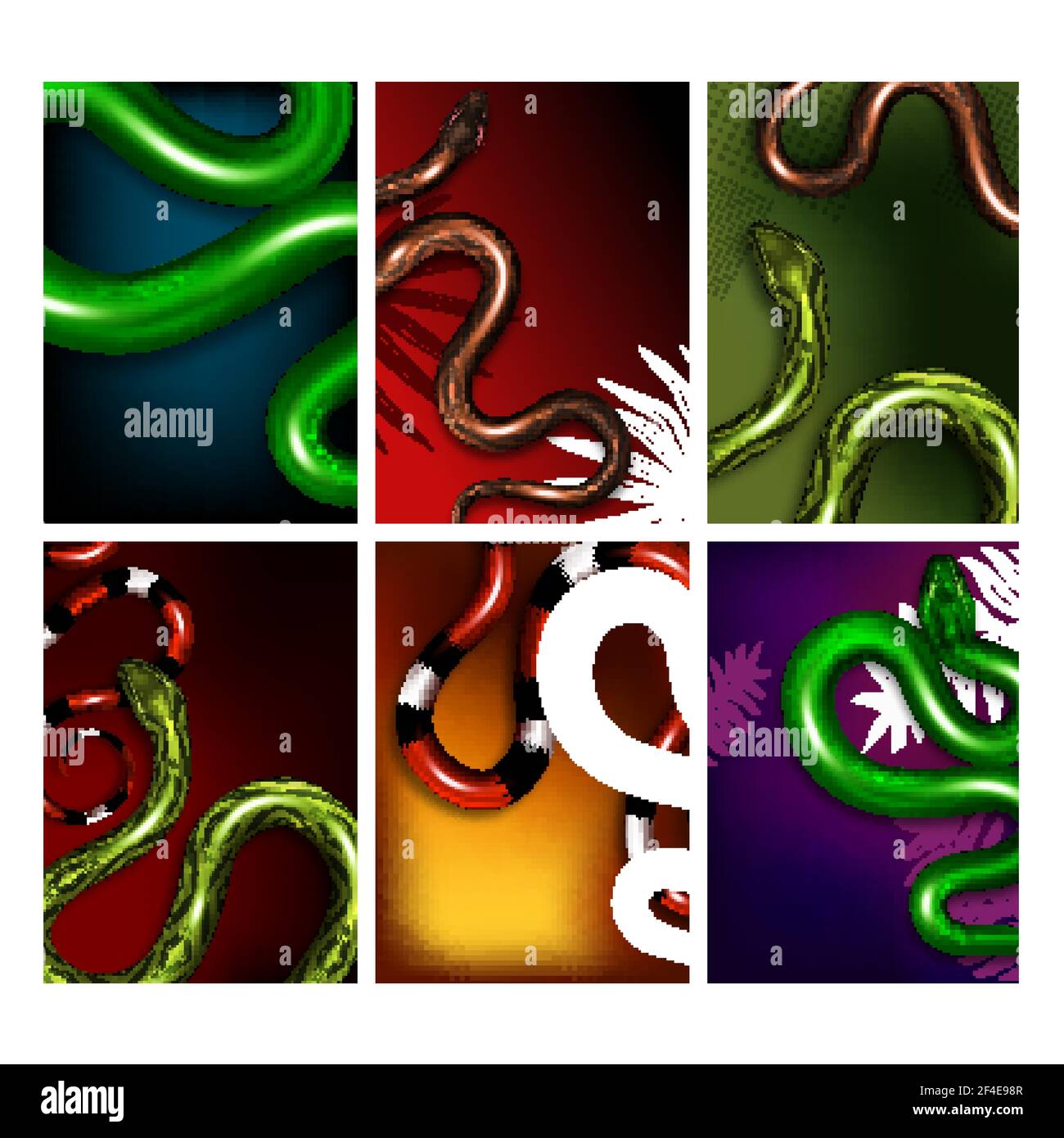 Exotic Snakes Show Advertising Banners Set Vector Stock Vector Image ...