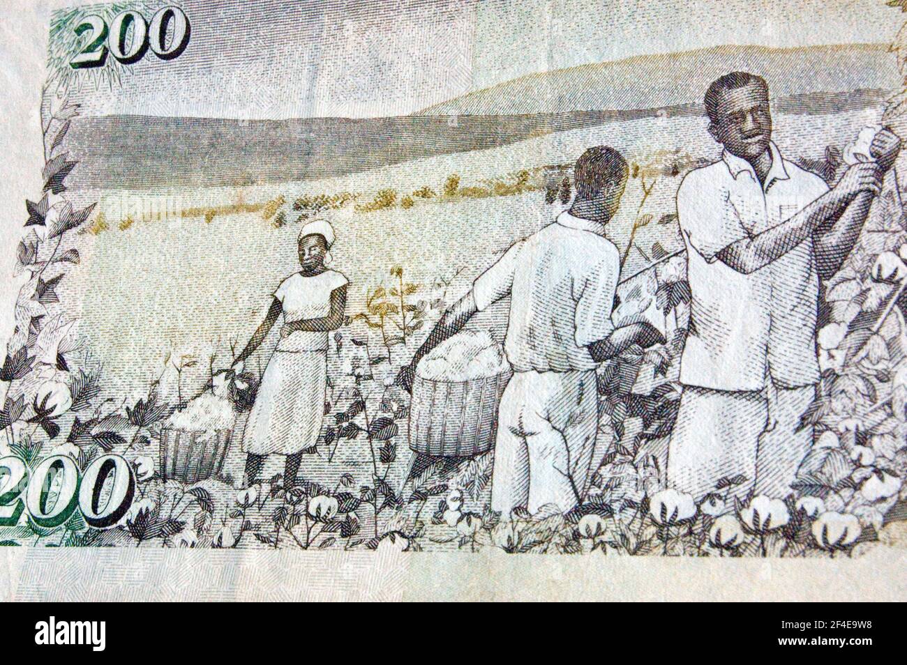 200 shilling banknote hi-res stock photography and images - Alamy