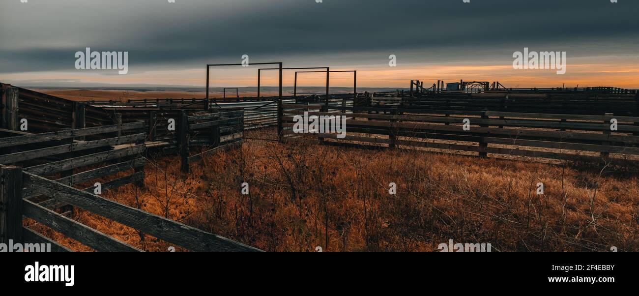 Cattle pens hi-res stock photography and images - Alamy