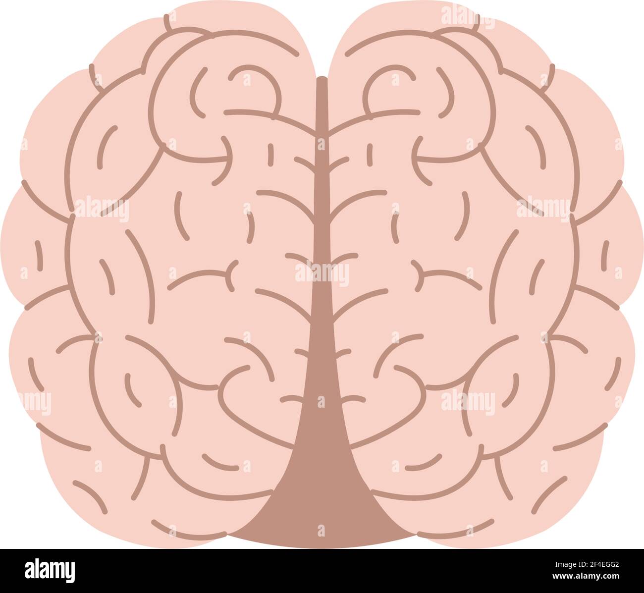 Healthy human brain, thinking organ vector illustration isolated on ...