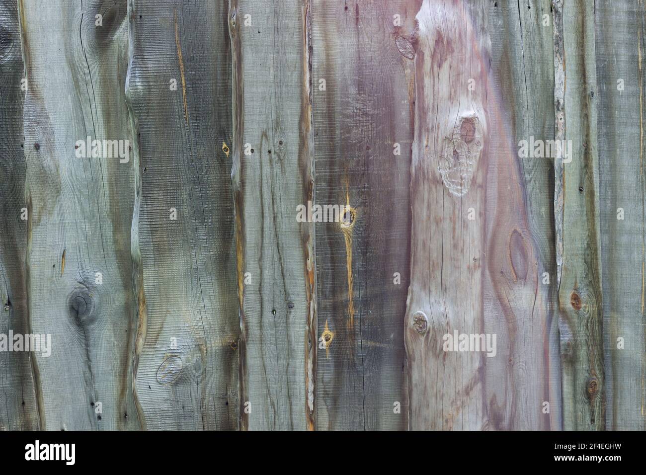 Texture of a wooden wall made of gray slats Stock Photo - Alamy