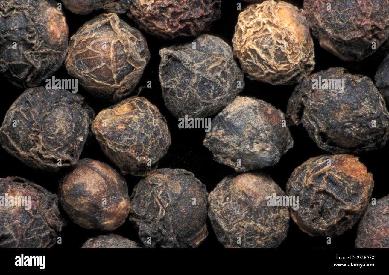 Basella alba vegetable hi-res stock photography and images - Alamy