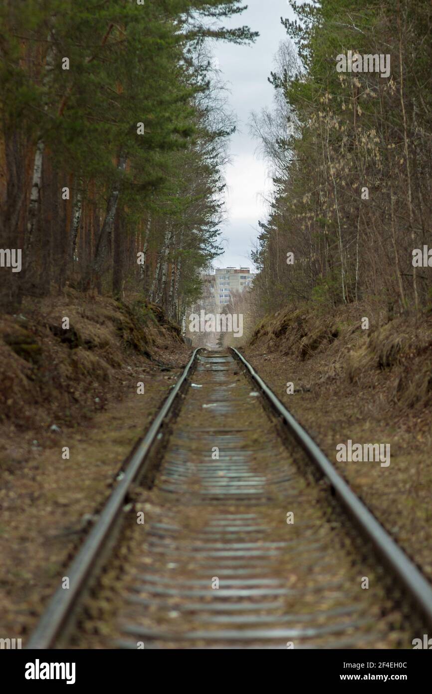 Rail track between trees hi-res stock photography and images - Alamy