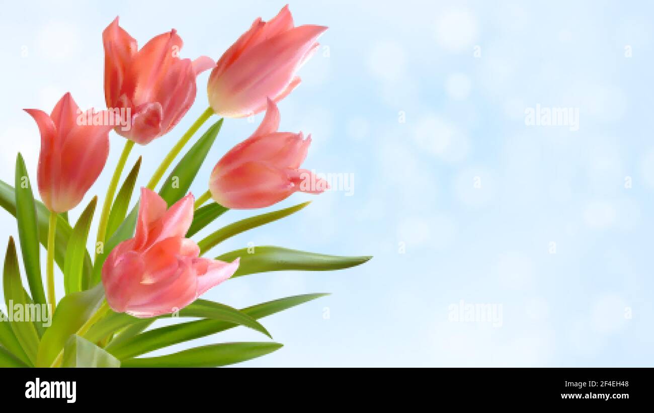 Bouquet of realistic tulips on a light blue background. Composition of ...