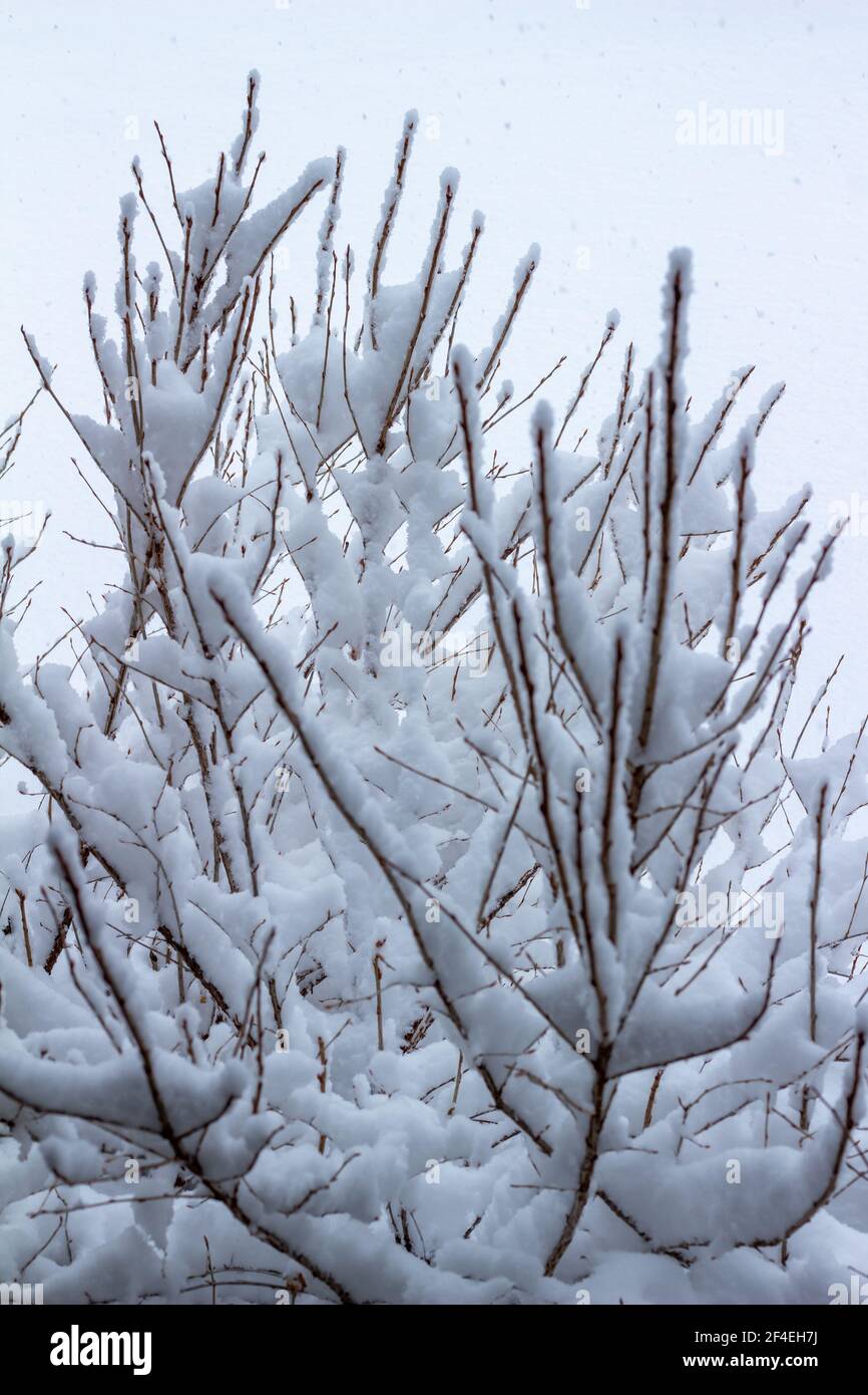 Full frame abstract texture background view of heavy deep snowfall ...
