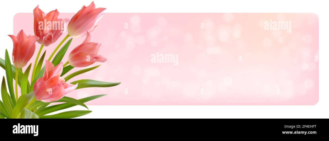 Bouquet of realistic tulips on a pink background. Composition of pink ...