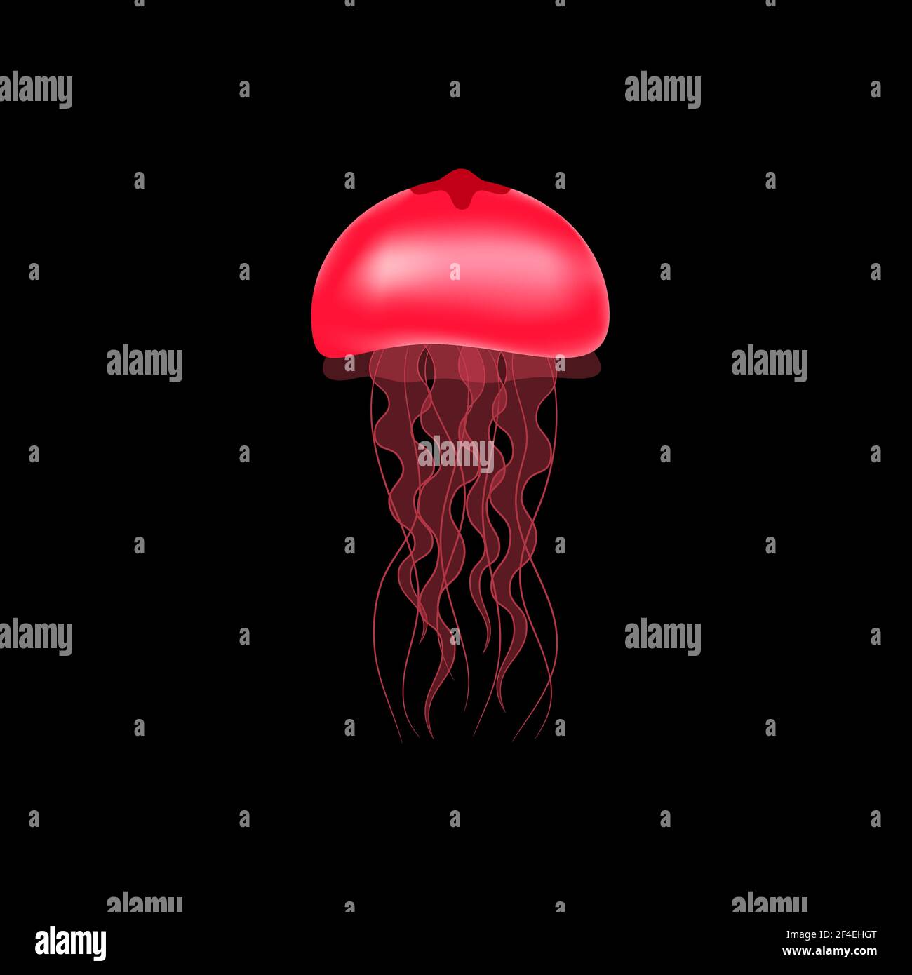 Red jellyfish on a black background. Vector illustration Stock Vector ...