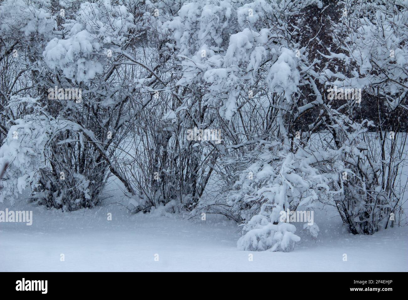 Full frame abstract texture background view of heavy deep snowfall ...