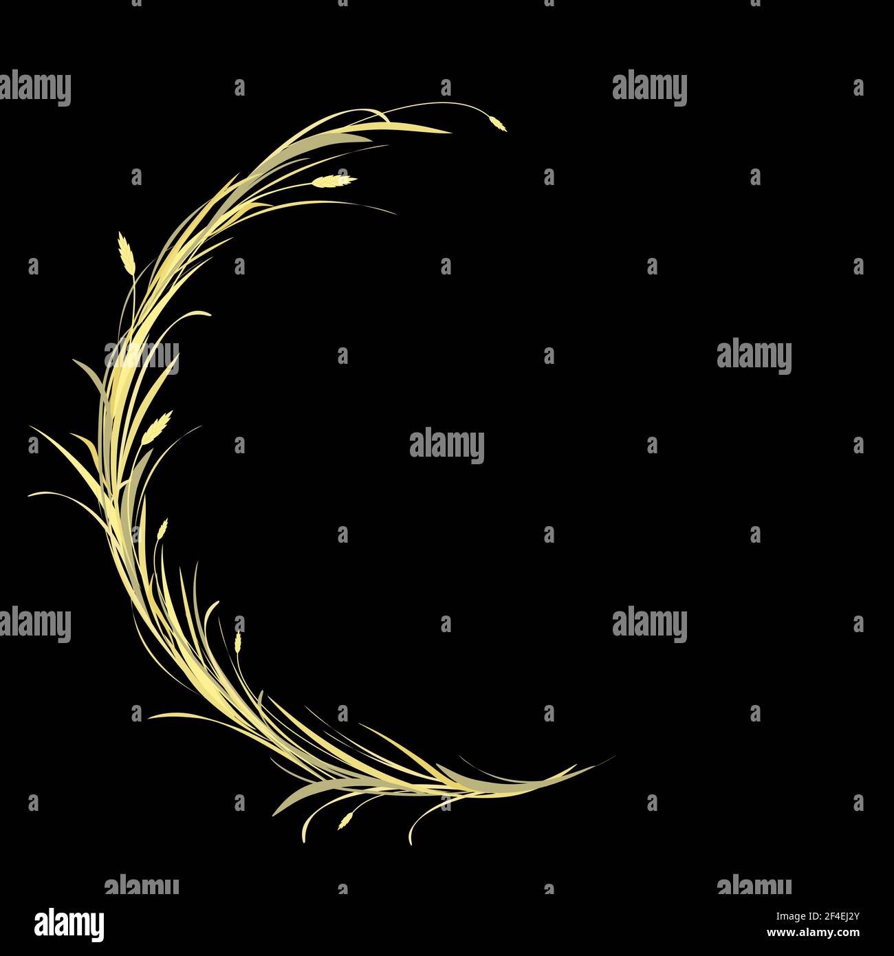 Blade of corn Stock Vector Images - Alamy