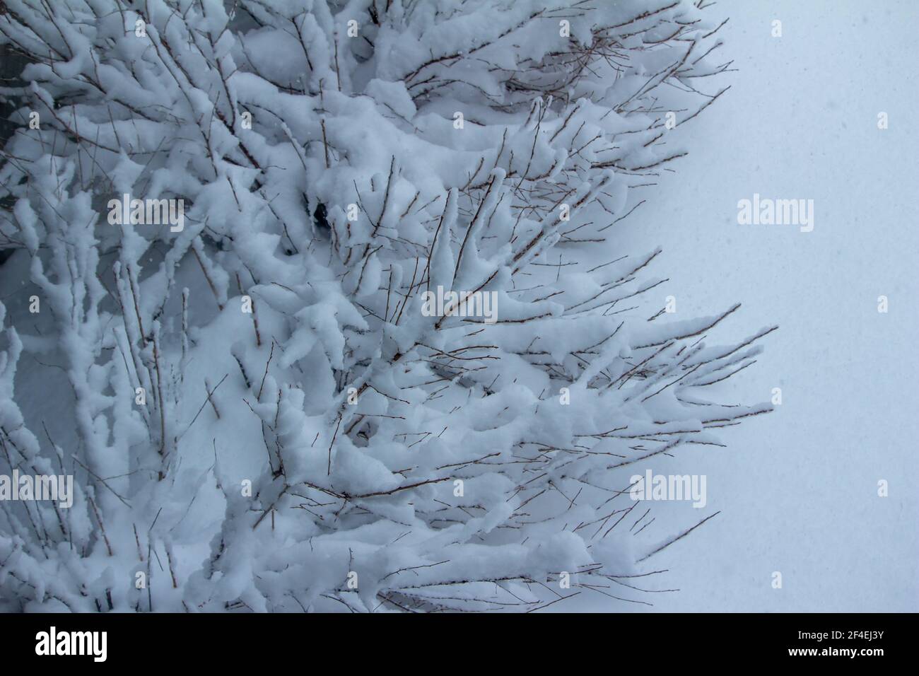 Full frame abstract texture background view of heavy deep snowfall ...