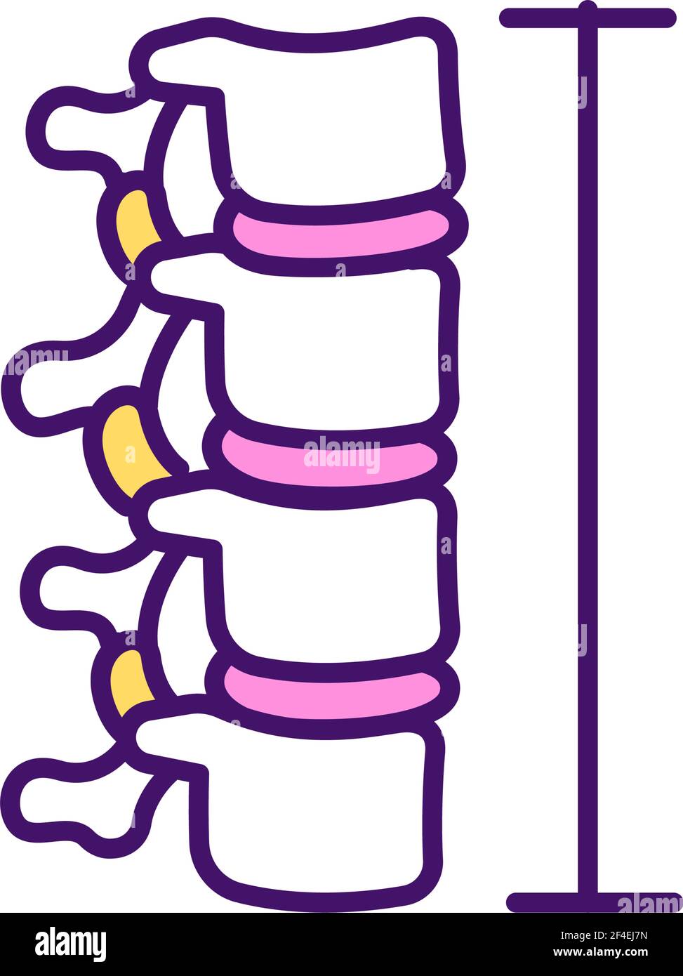 Spinal cord development RGB color icon Stock Vector Image & Art - Alamy