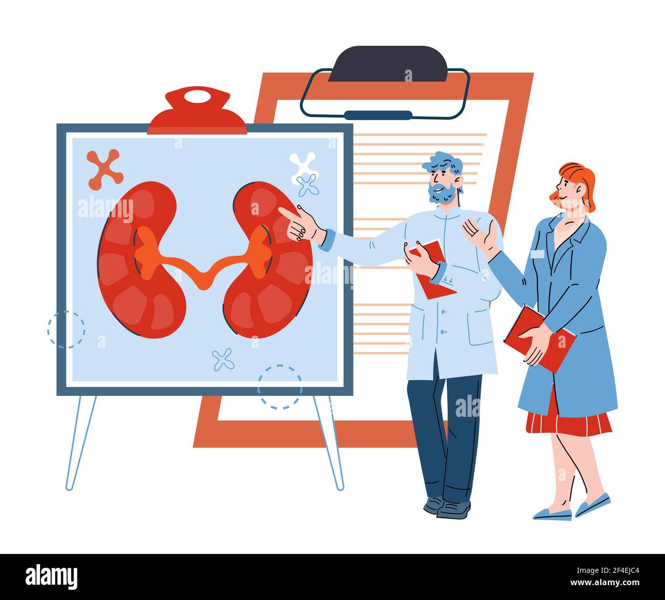 Doctors pointing at banner with image of human kidneys, cartoon vector ...
