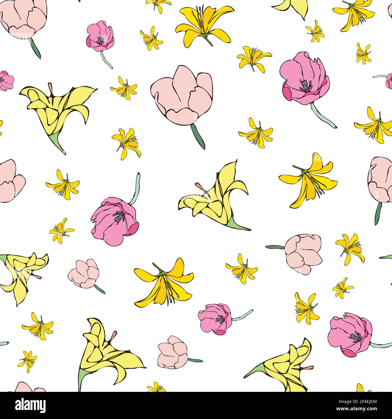 Close up cultivated daisy flower Stock Vector Images - Alamy