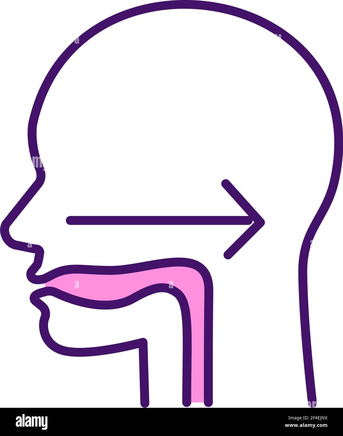 Swallow reflex Stock Vector Images - Alamy