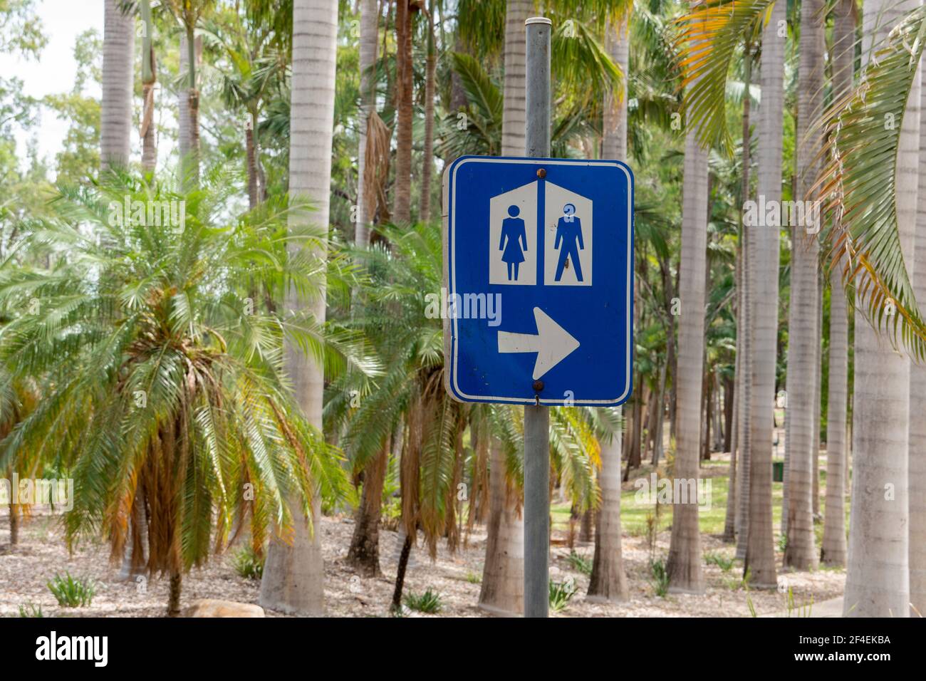 Toilet restroom sign hi-res stock photography and images - Alamy