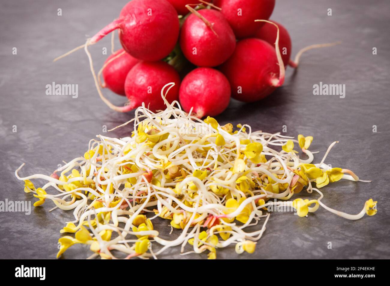 Sprouted radish seeds and fresh ripe vegetables, healthy nutrition ...