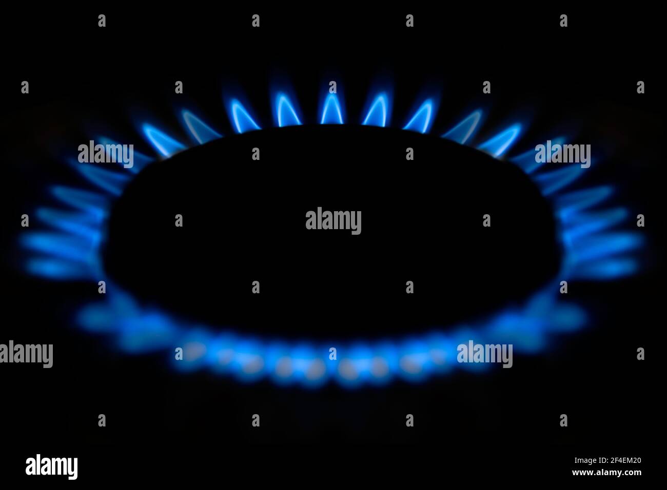 Gas burners with blue natural gas on black background in the kitchen ...