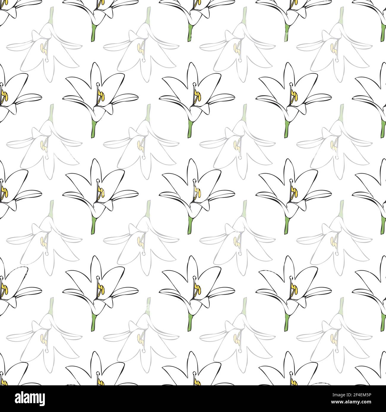Vector white background white flowers seamless pattern. Lilies ...
