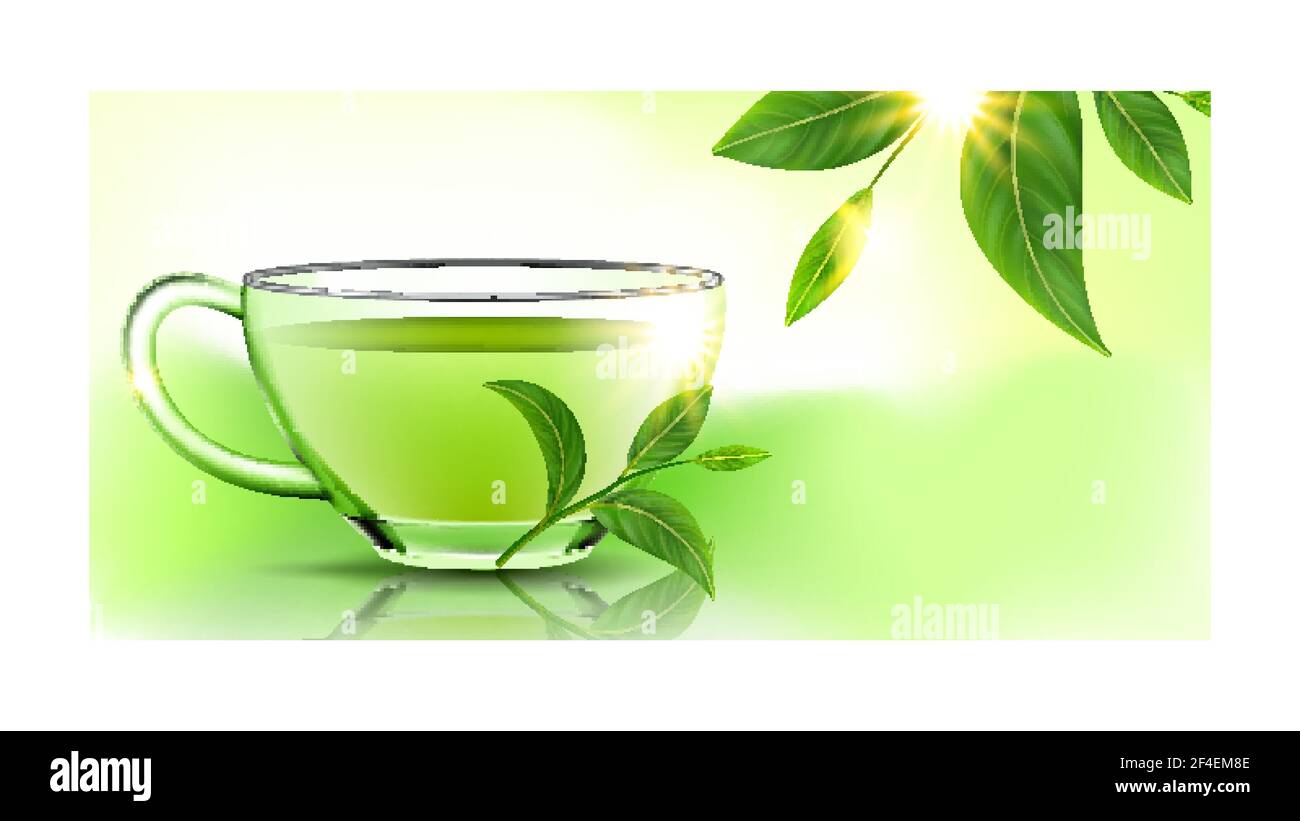 Natural Tea Creative Advertising Banner Vector Illustration Stock ...