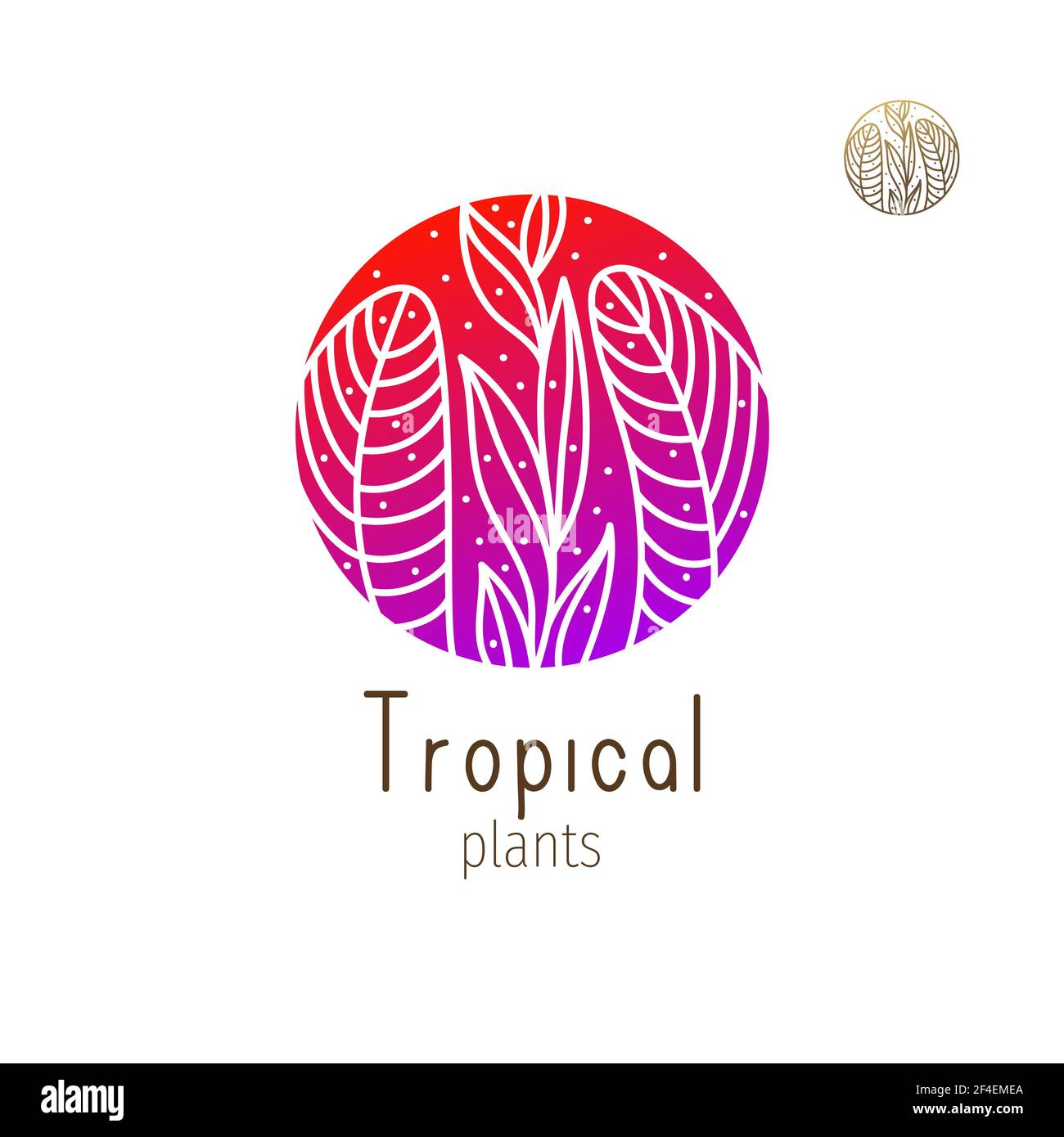 Tropical jungle logo Stock Vector Image & Art - Alamy