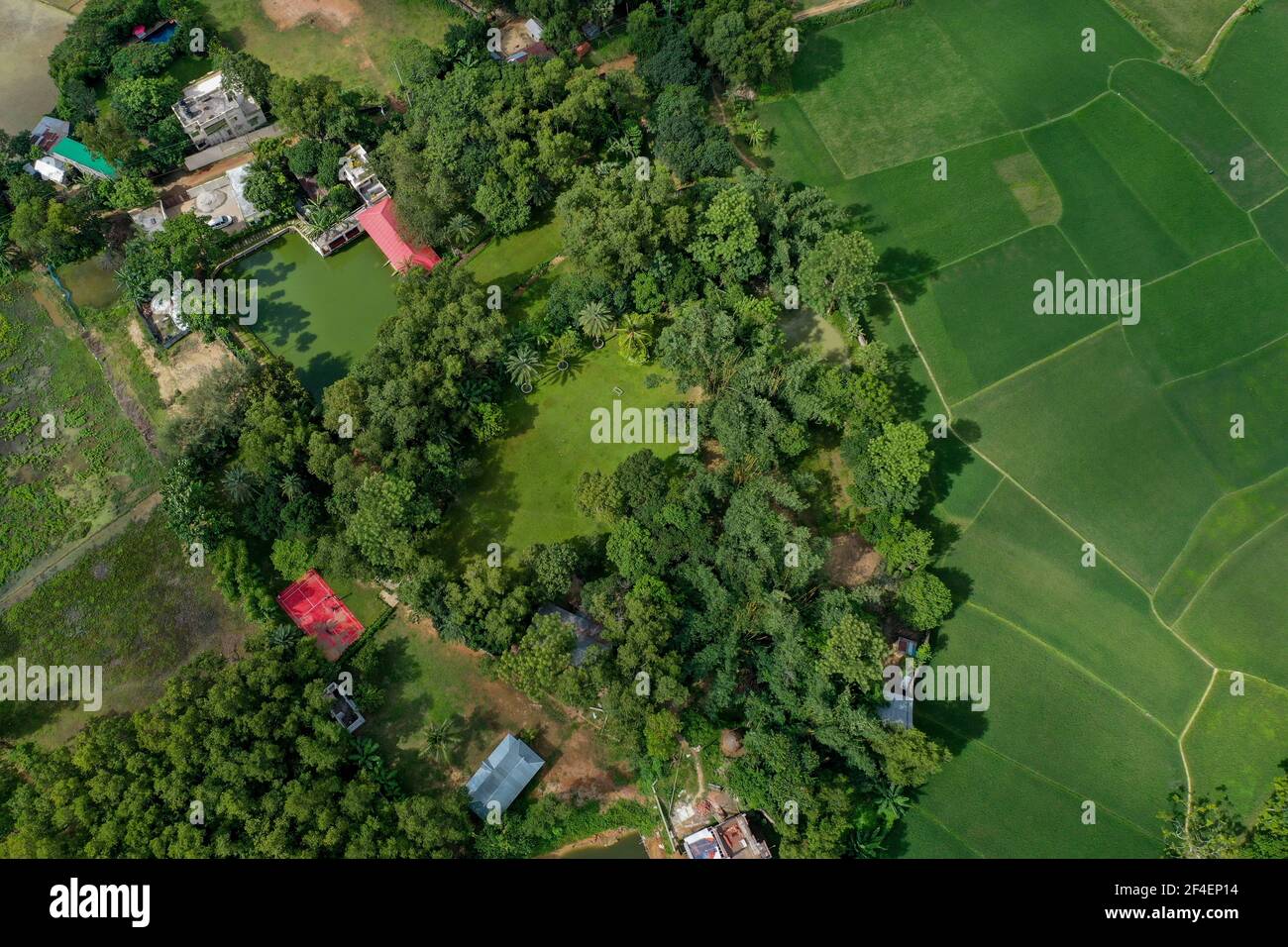 Aerial view of a rural area of Bhaluka of Mymenshing district ...