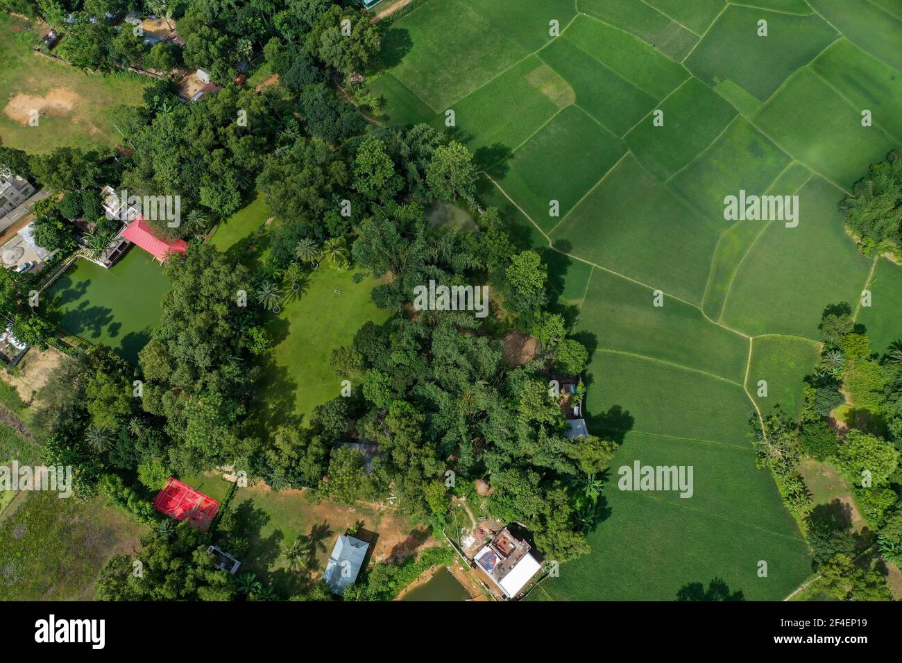 Aerial view of a rural area of Bhaluka of Mymenshing district ...