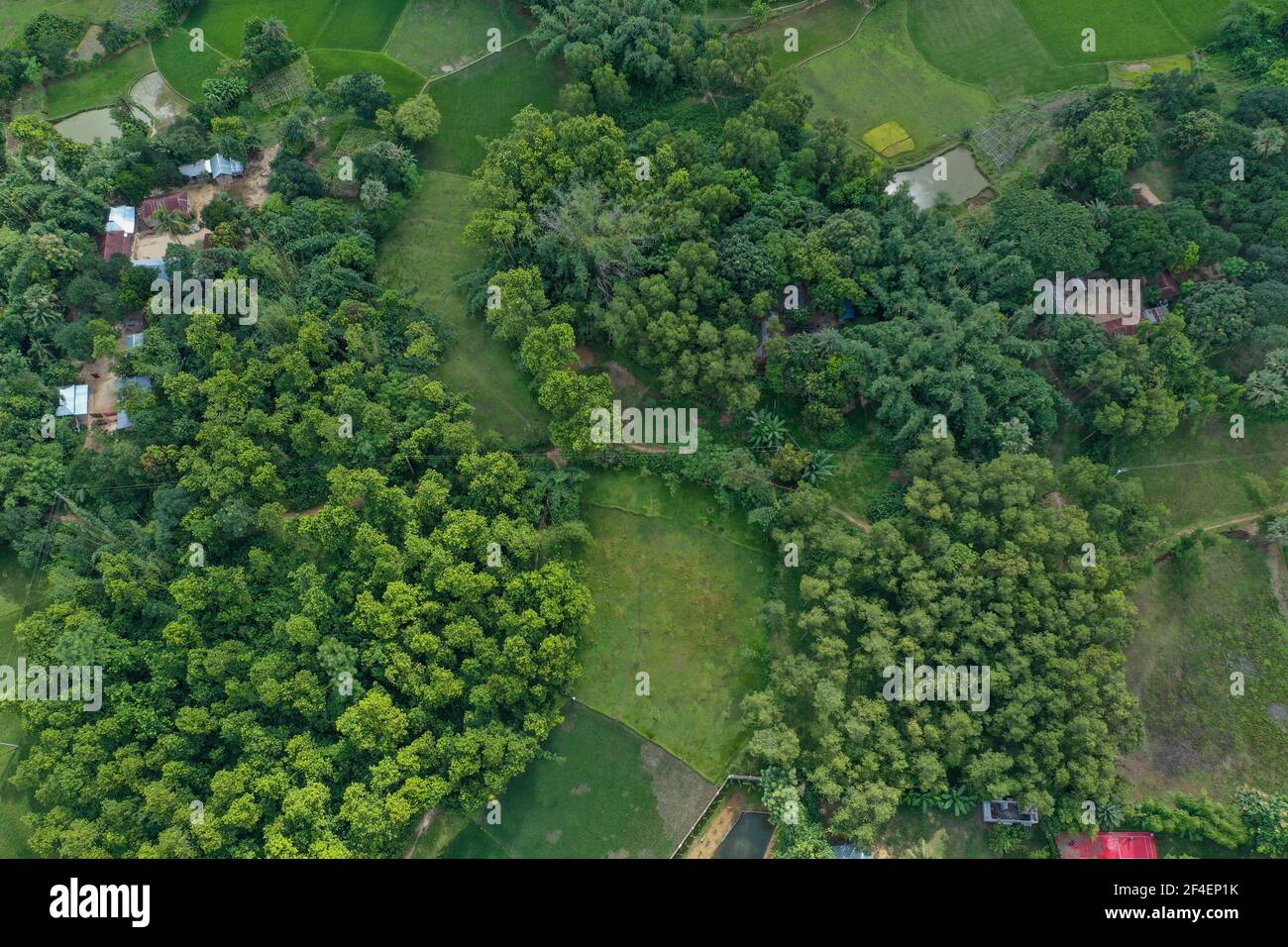 Aerial view of a rural area of Bhaluka of Mymenshing district ...