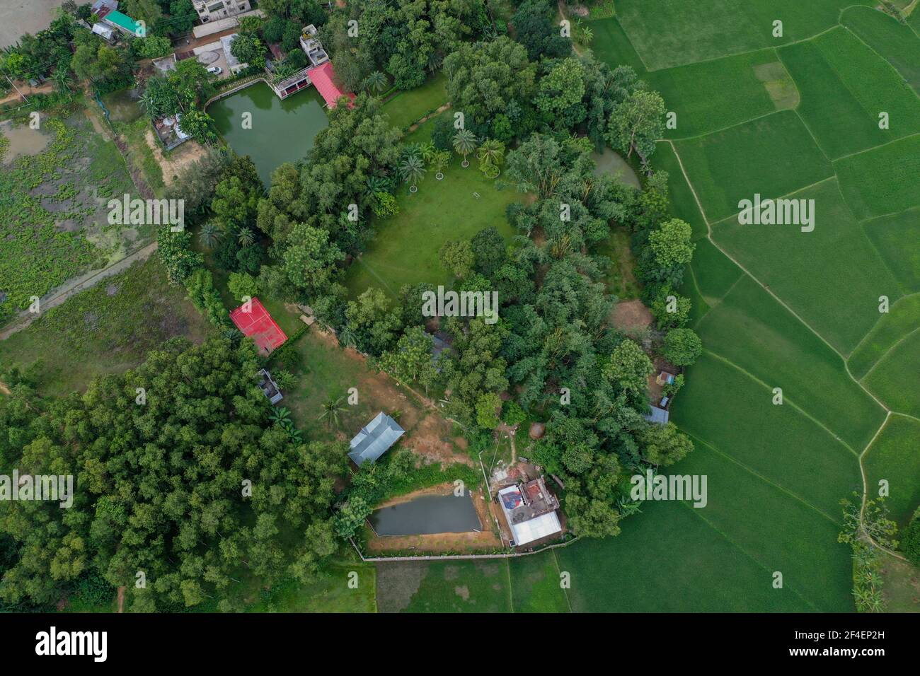 Aerial view of a rural area of Bhaluka of Mymenshing district ...