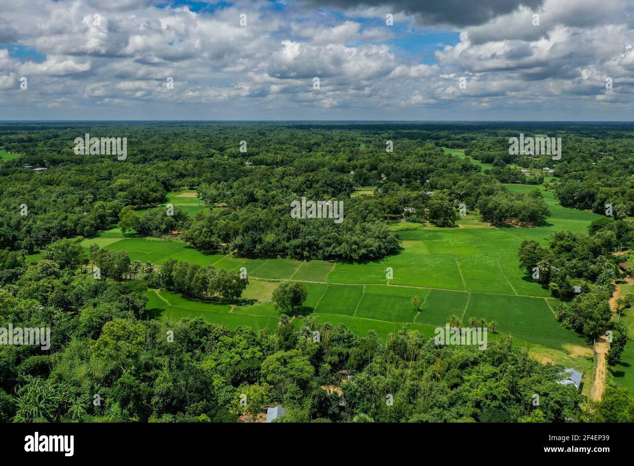 An aerial view of rural area and agricultural lands of Bhaluka of ...