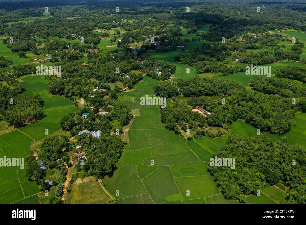 An aerial view of rural area and agricultural lands of Bhaluka of ...