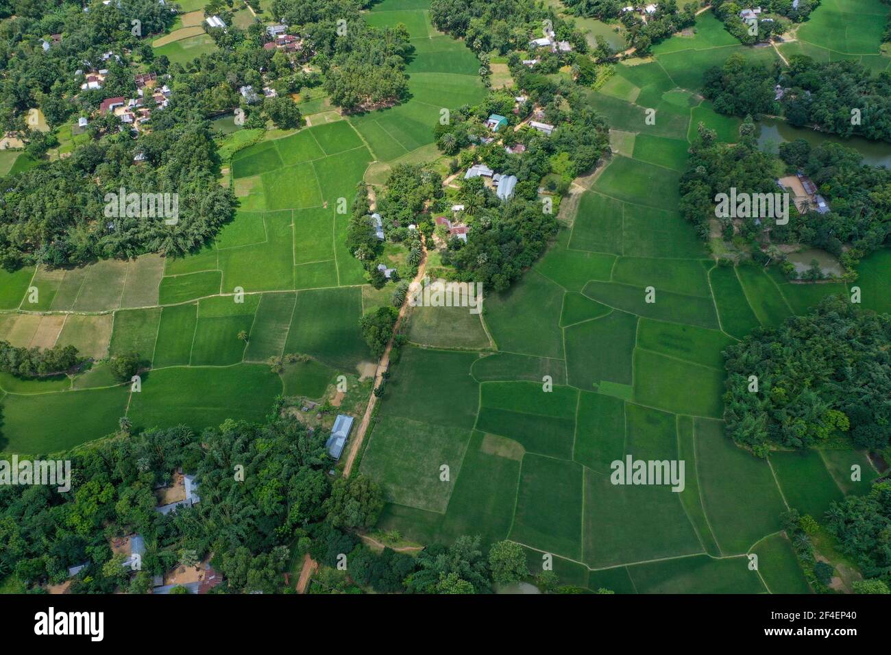 An aerial view of rural area and agricultural lands of Bhaluka of ...