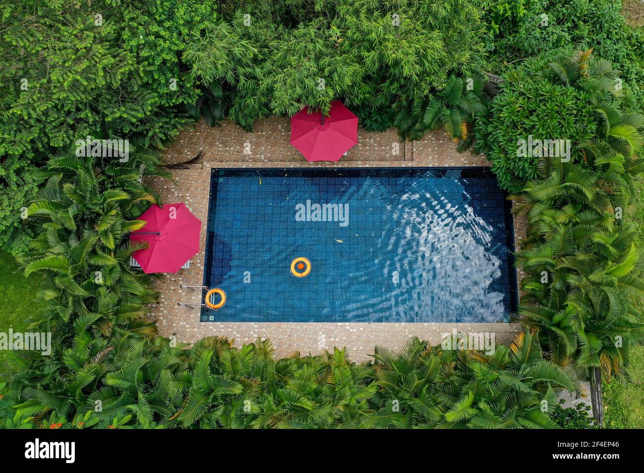 Aerial view of a swimming pool inside a resort at Bhaluka in Mymensing ...