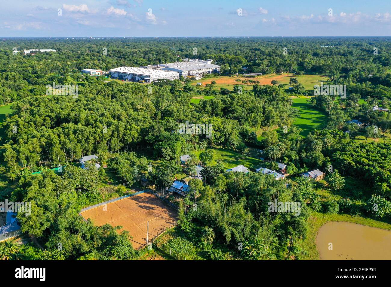An aerial photo shows how the industry grabs the forest area and ...