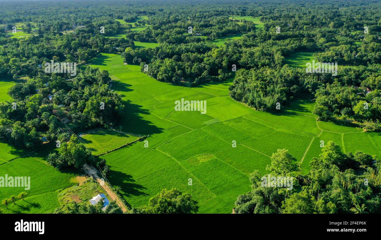An aerial view of rural area and agricultural lands of Bhaluka of ...
