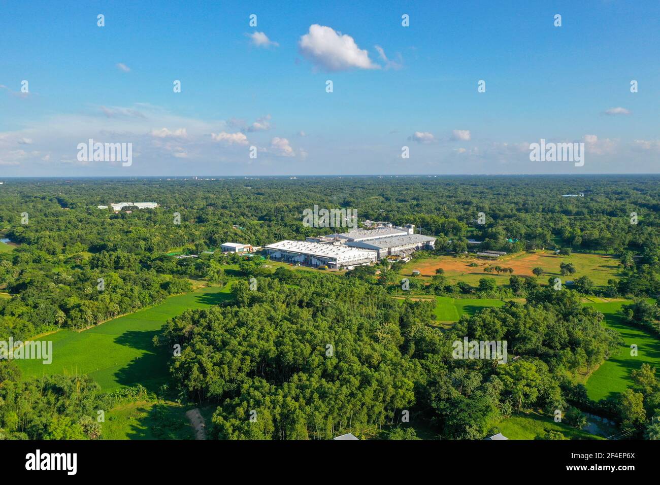 An aerial photo shows how the industry grabs the forest area and ...