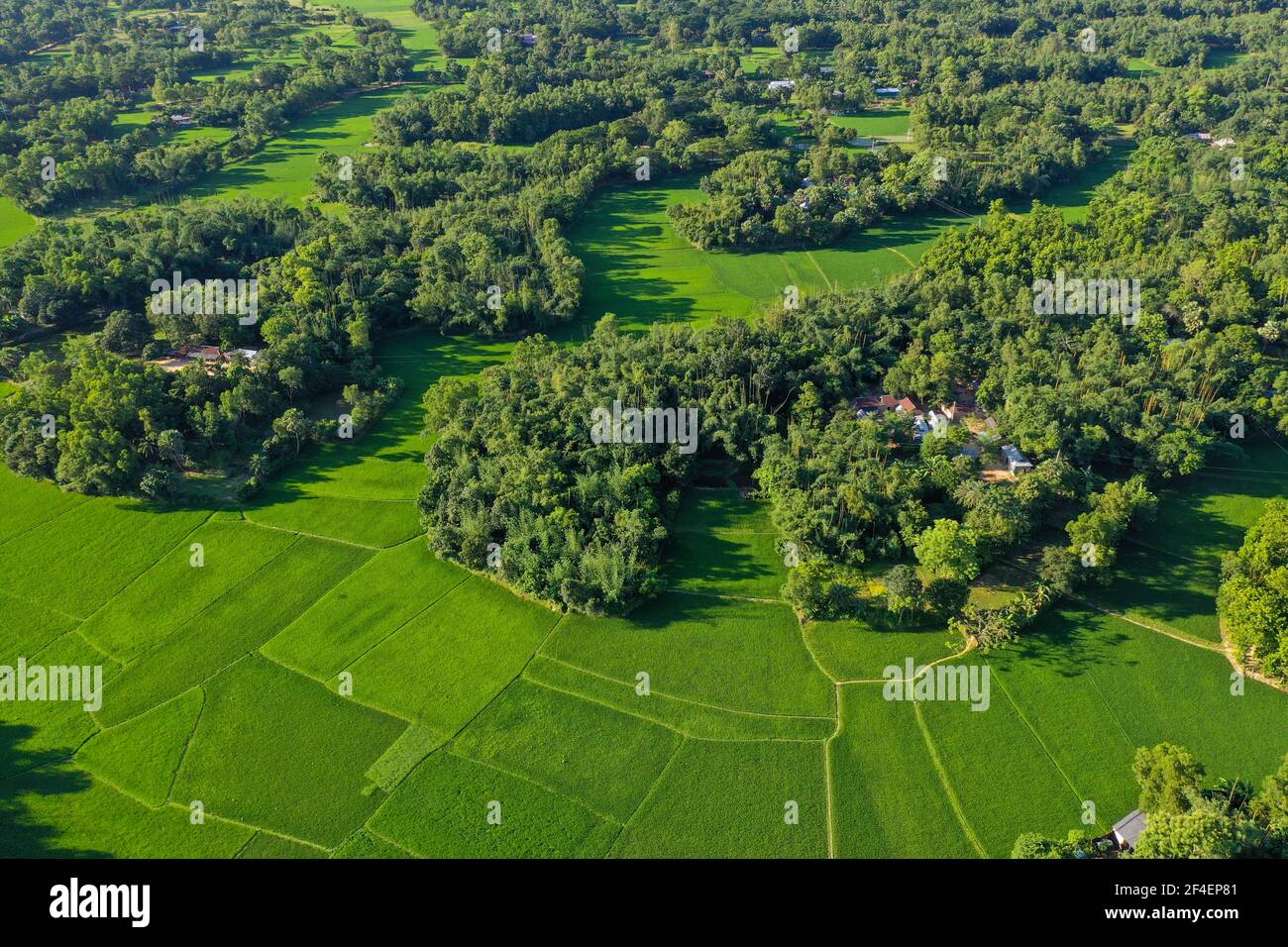 An aerial view of rural area and agricultural lands of Bhaluka of ...
