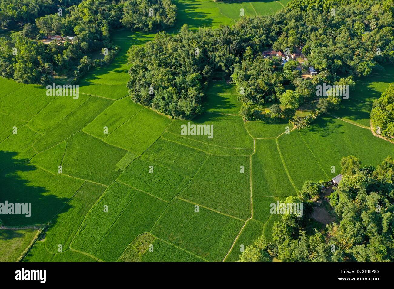 An aerial view of rural area and agricultural lands of Bhaluka of ...