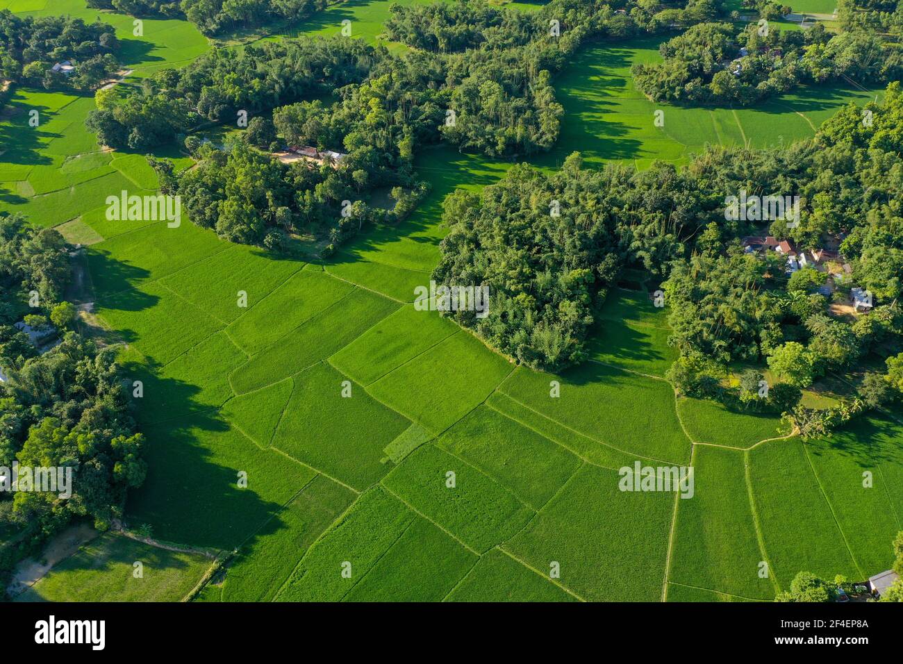 An aerial view of rural area and agricultural lands of Bhaluka of ...